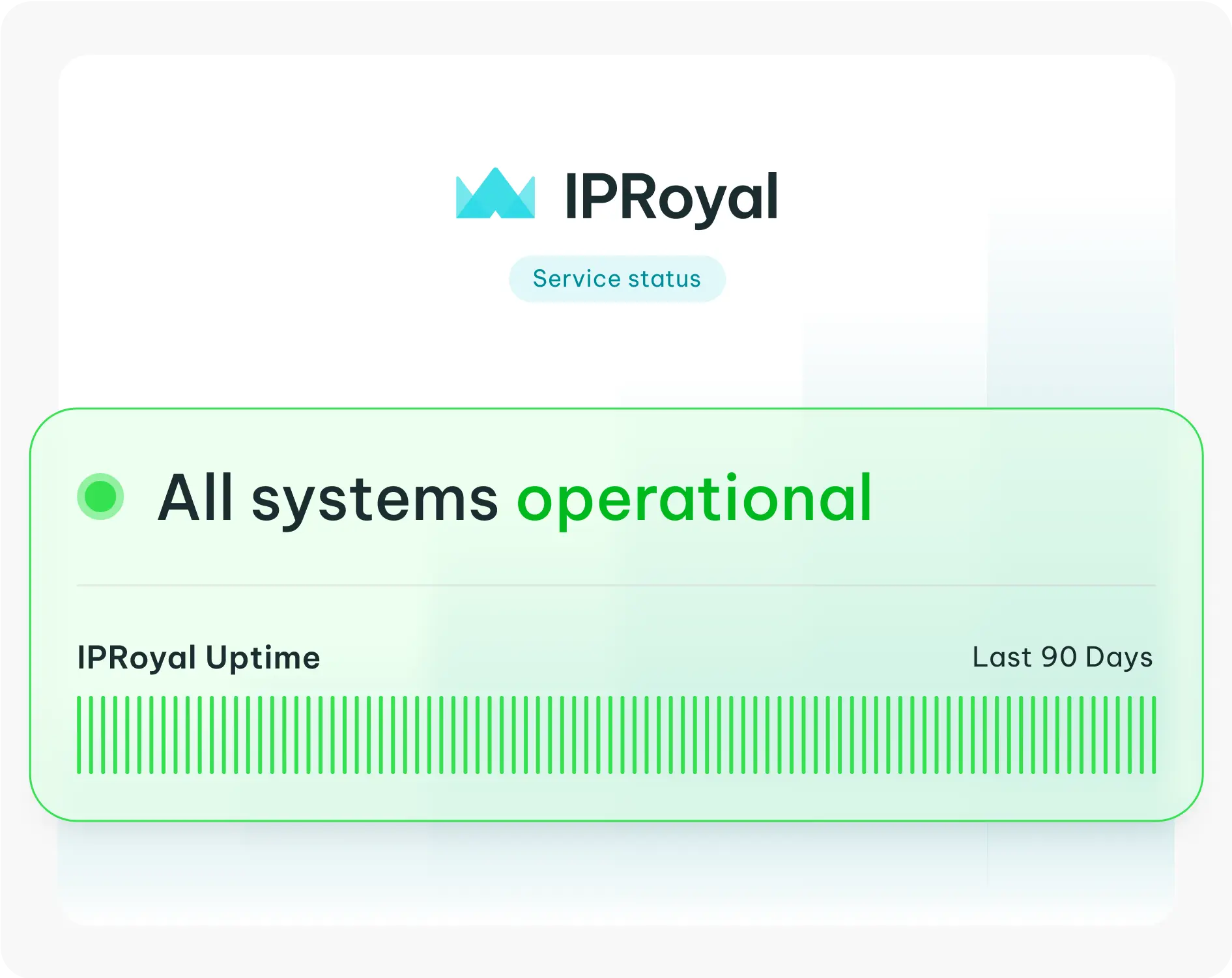 IPRoyal | 一流品质的代理，无与伦比的价格